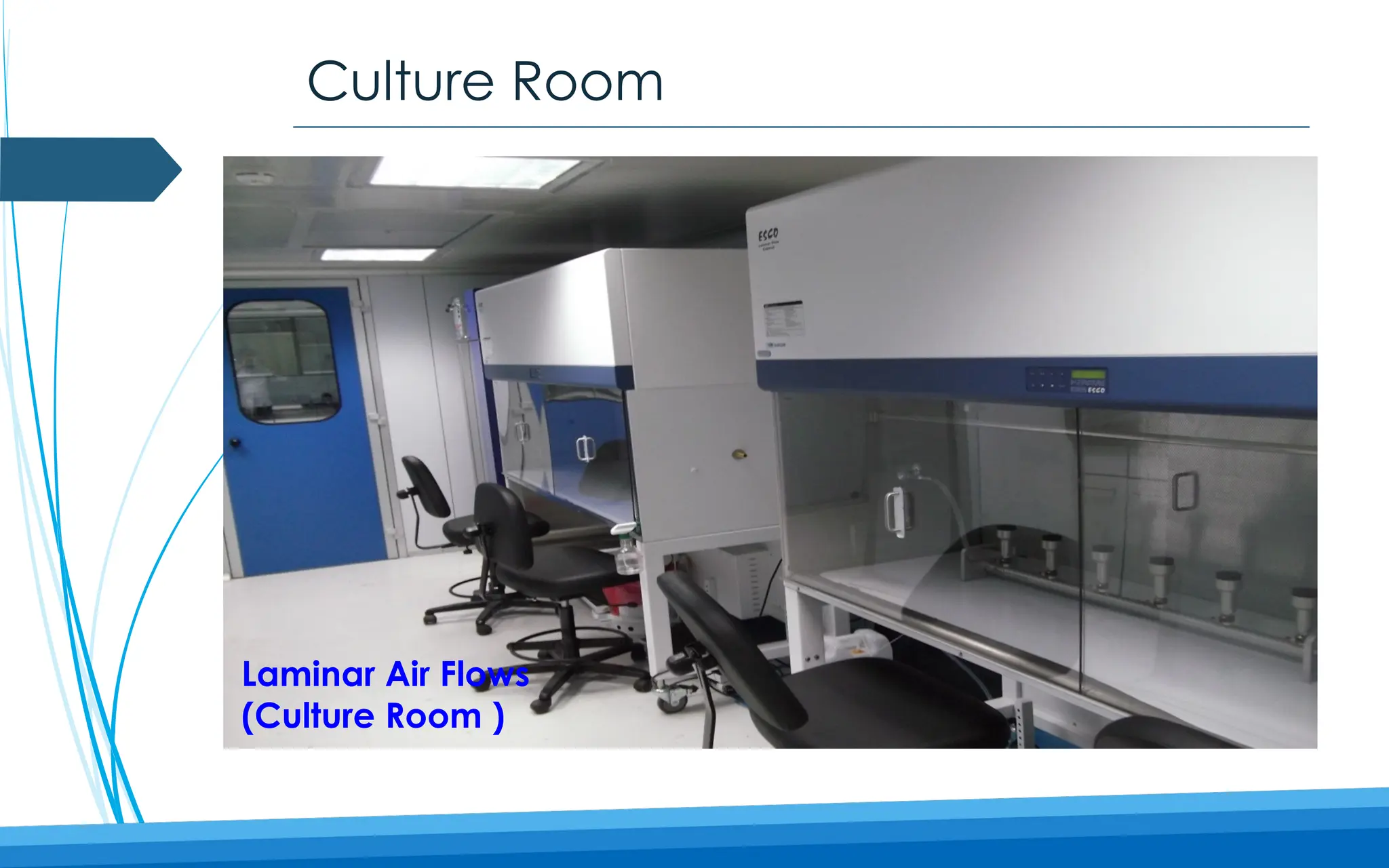 Pharmaceutical Microbiology Lab Layout & Functions.pptx