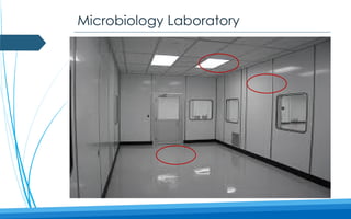 Pharmaceutical Microbiology Lab Layout & Functions.pptx