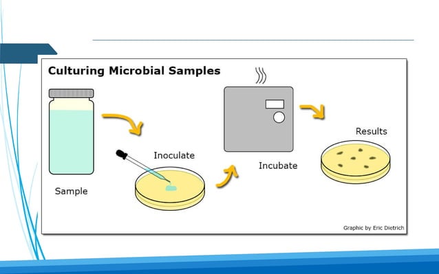Pharmaceutical Microbiology Lab Layout & Functions.pptx