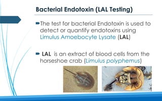 Pharmaceutical Microbiology Lab Layout & Functions.pptx
