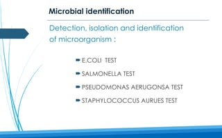 Pharmaceutical Microbiology Lab Layout & Functions.pptx