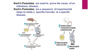 Pharmaceutical microbiology (unit 1) | PPTX