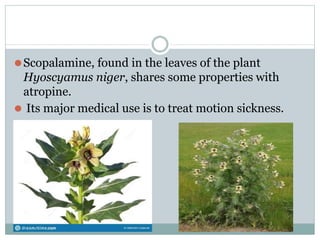 Pharmaceutical products of Plant origin.pptx