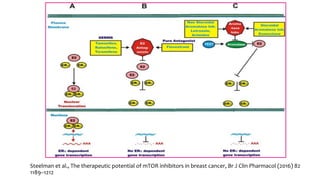 Pharmaceutical prospectives of anti estrogen, m-tor, CDK 4/6 in Breast ...
