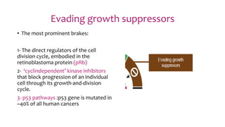 Pharmaceutical prospectives of anti estrogen, m-tor, CDK 4/6 in Breast ...