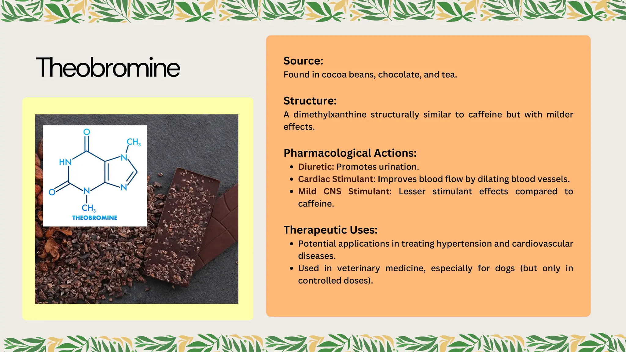 Pharmaceutical substances of plant origin.pdf