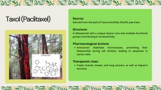 Pharmaceutical substances of plant origin.pdf