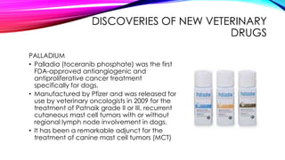 Pharmacodynamics.pptx report | PPT