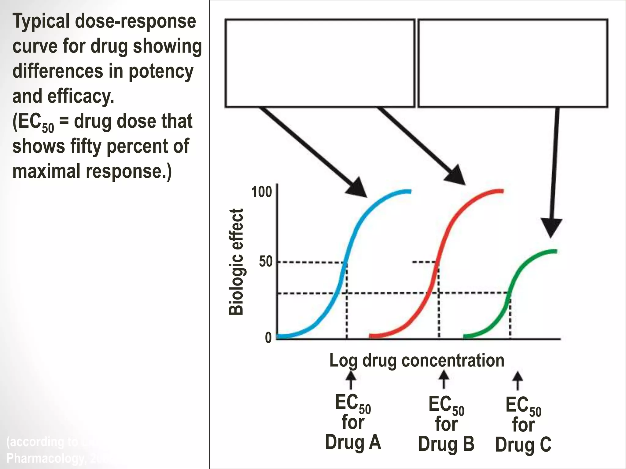 Pharmacodynamics 2020 | PPT