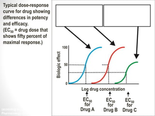 Pharmacodynamics.2020