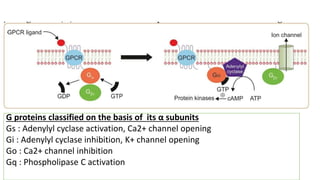 Pharmacodynamics | PPTX