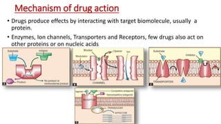 Pharmacodynamics | PPTX