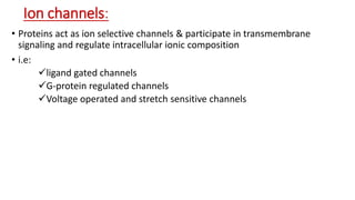 Pharmacodynamics | PPTX