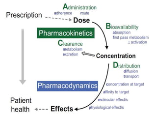 Pharmacodynamics.pptx