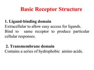 Pharmacodynamics.pptx