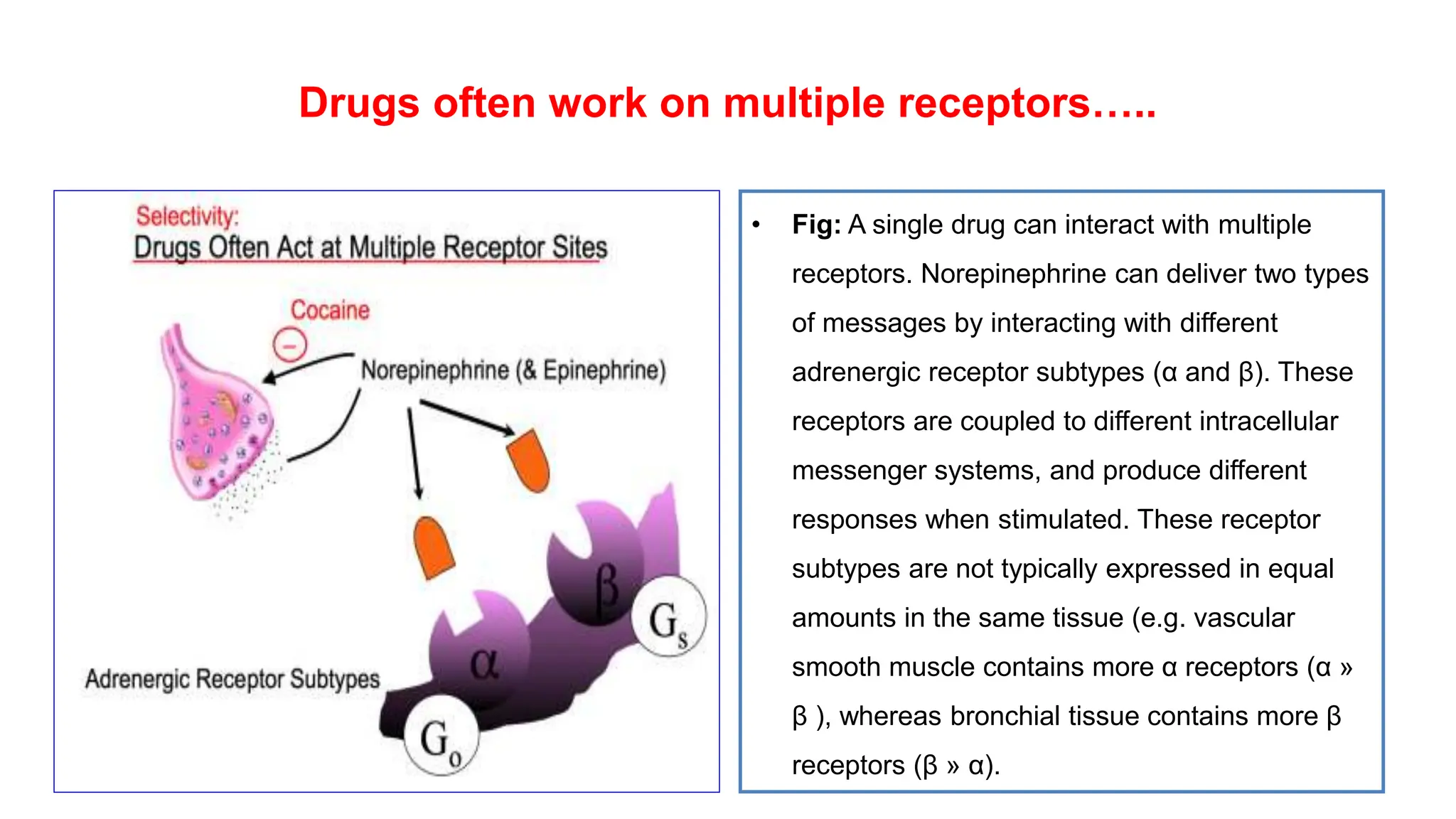 Pharmacodynamics, How drugs work and what does they do? .ppt