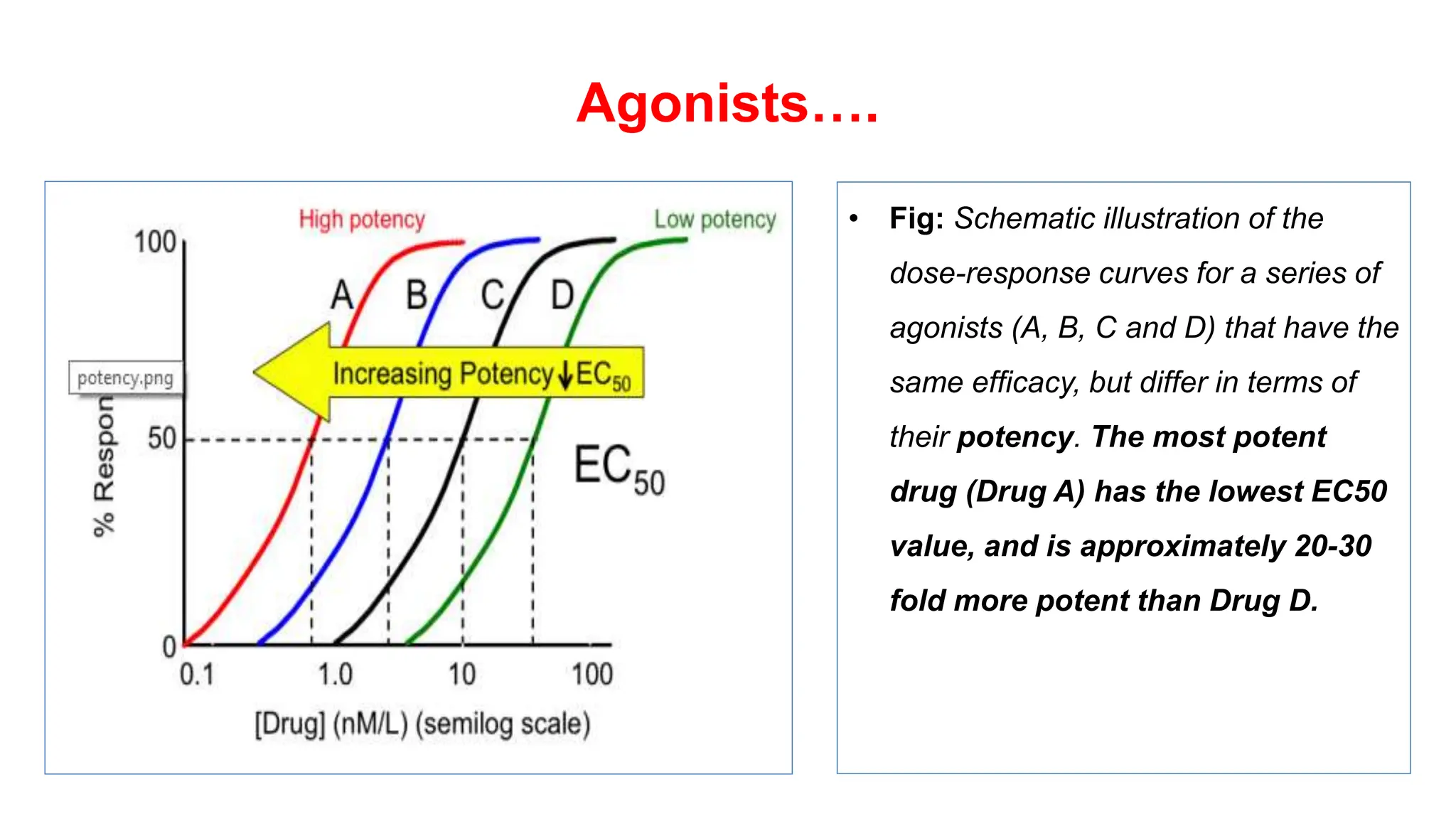 Pharmacodynamics, How drugs work and what does they do? .ppt