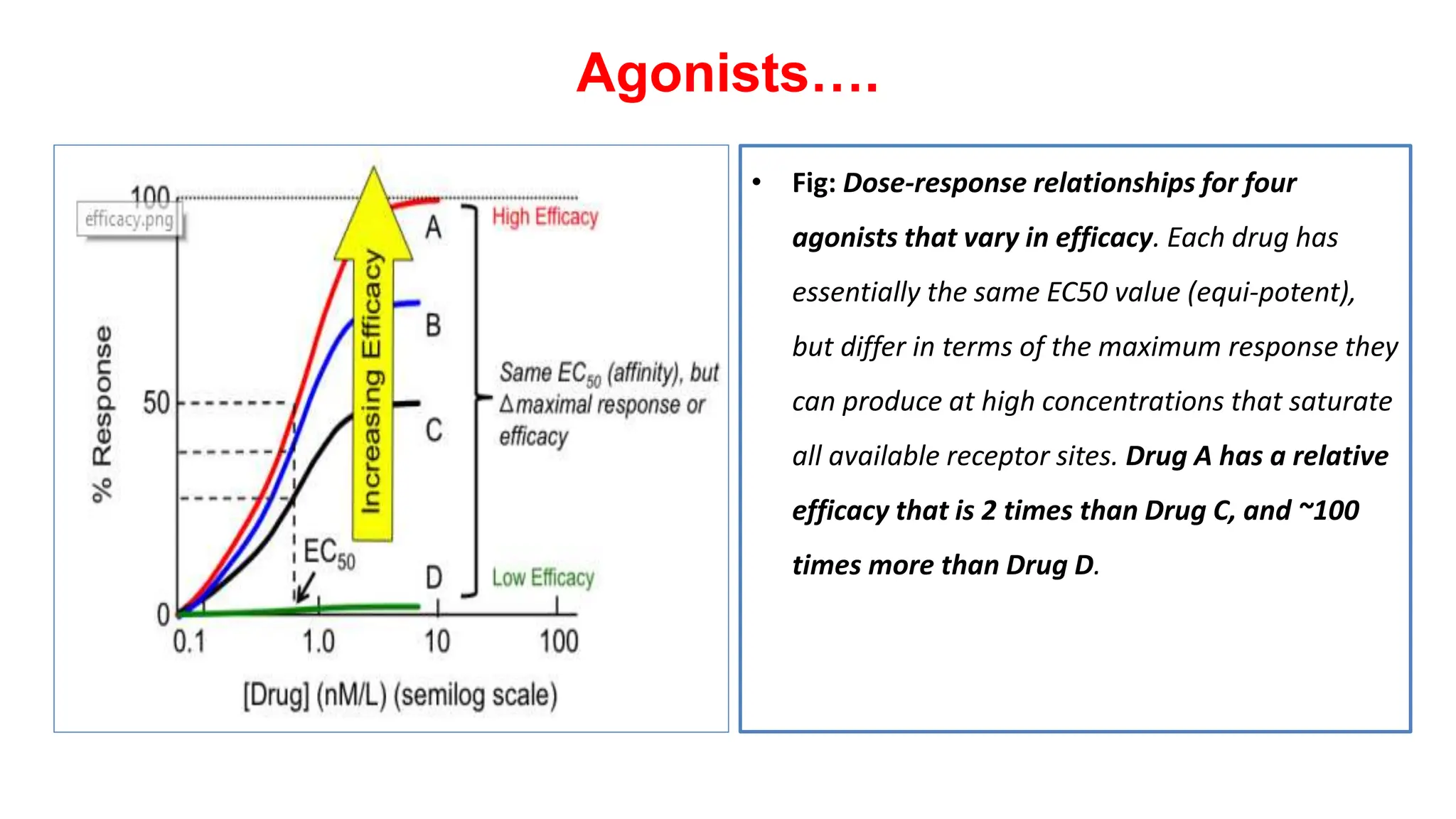 Pharmacodynamics, How drugs work and what does they do? .ppt
