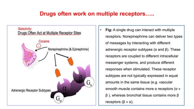 Pharmacodynamics, How drugs work and what does they do? .ppt