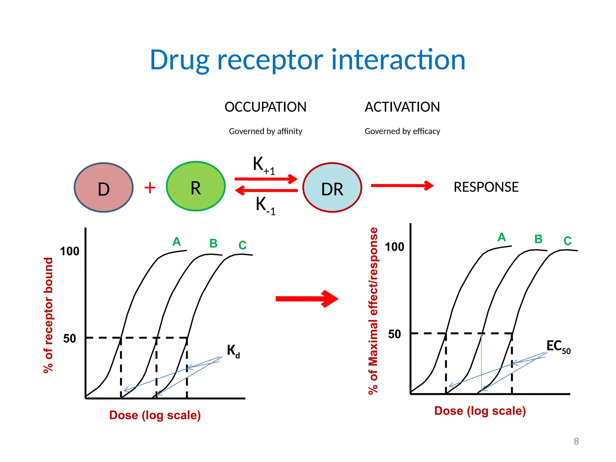 Pharmacology -Principles of Pharmacodynamics | PPTX