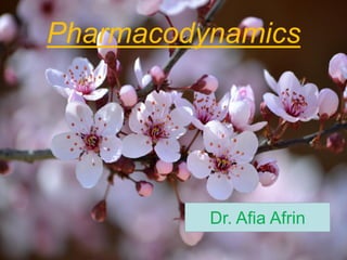 Pharmacodynamics : A new prospect on how drug acts | PPT