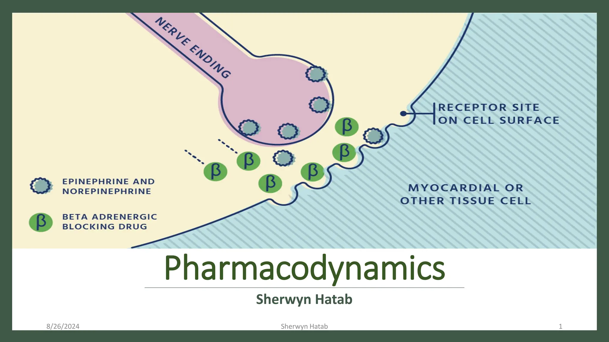 nursing students Pharmacodynamics principles | PDF