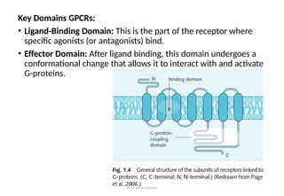 Pharmacodynamics and classification of receptors | PPTX