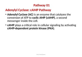 Pharmacodynamics and classification of receptors | PPTX