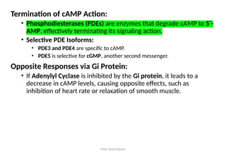 Pharmacodynamics and classification of receptors | PPTX