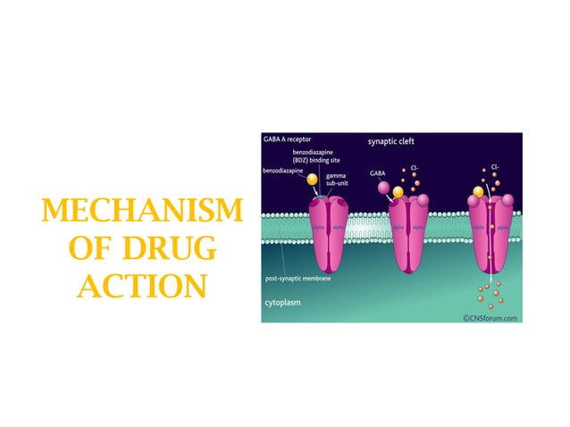 Pharmacodynamics (Mechanisn of drug action) | PPT
