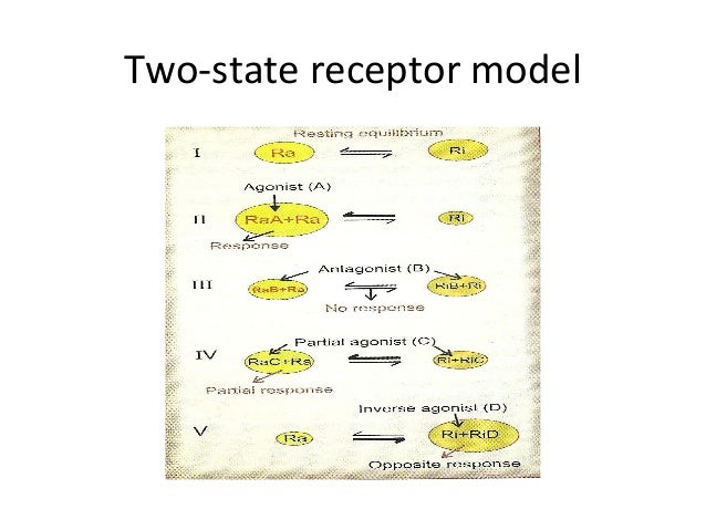 Pharmacodynamics (Mechanisn of drug action)