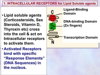 Pharmacodynamics drug receptor interaction | PPTX