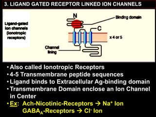 Pharmacodynamics drug receptor interaction | PPTX