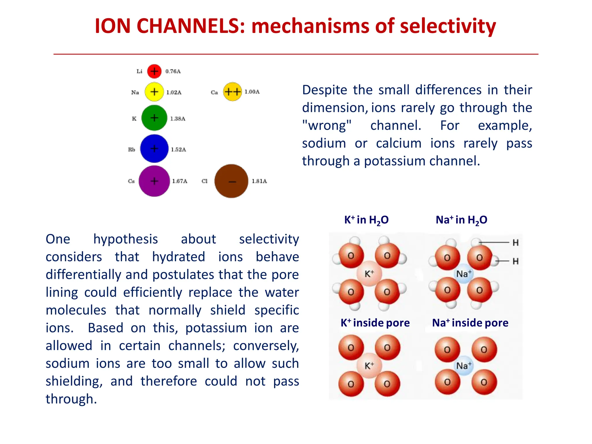 pharmacodynamics-receptors-2016-ion-channels.pdf