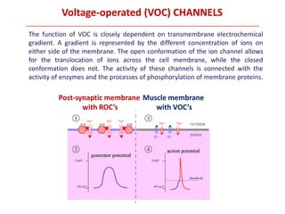 pharmacodynamics-receptors-2016-ion-channels.pdf