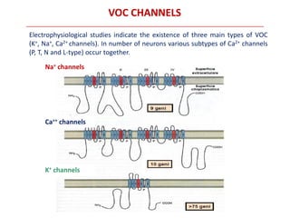 pharmacodynamics-receptors-2016-ion-channels.pdf