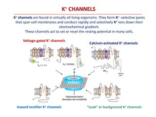 pharmacodynamics-receptors-2016-ion-channels.pdf