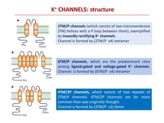 pharmacodynamics-receptors-2016-ion-channels.pdf