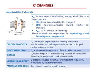 pharmacodynamics-receptors-2016-ion-channels.pdf