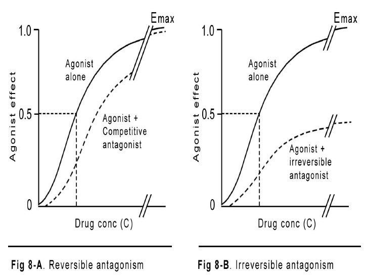 Pharmacodynamics revised