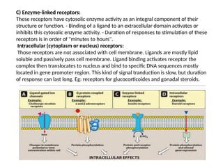 Pharmacodynamics (2).pptx12345678wertyuisdfghjk | PPT