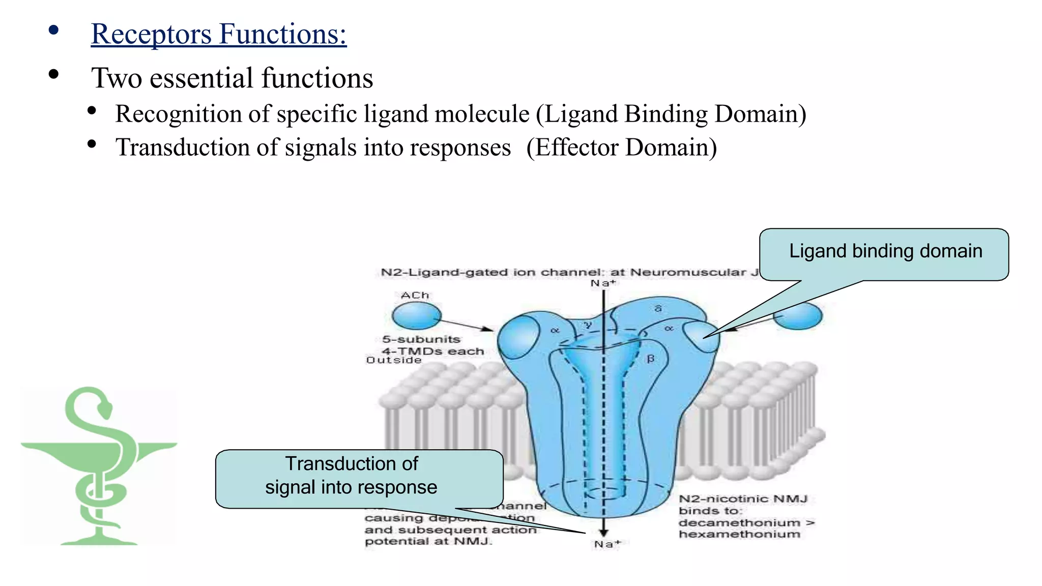 pharmacodynamics 6.pptx