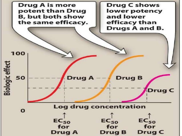 Pharmacodynamics.ppt | Endocrine and Metabolic Diseases | Diseases and ...