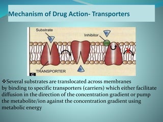 Pharmacodynamics mechanism of durg action | PPTX