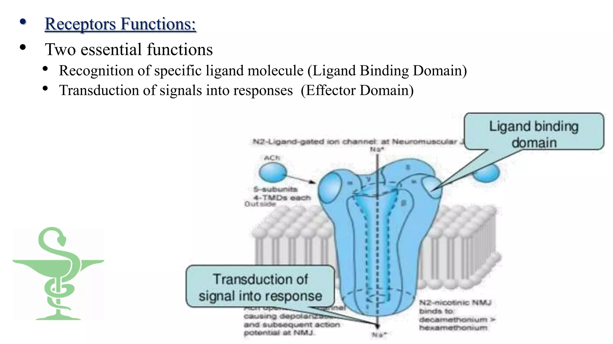 Pharmacodynamics, mechanism of drug action | PPTX