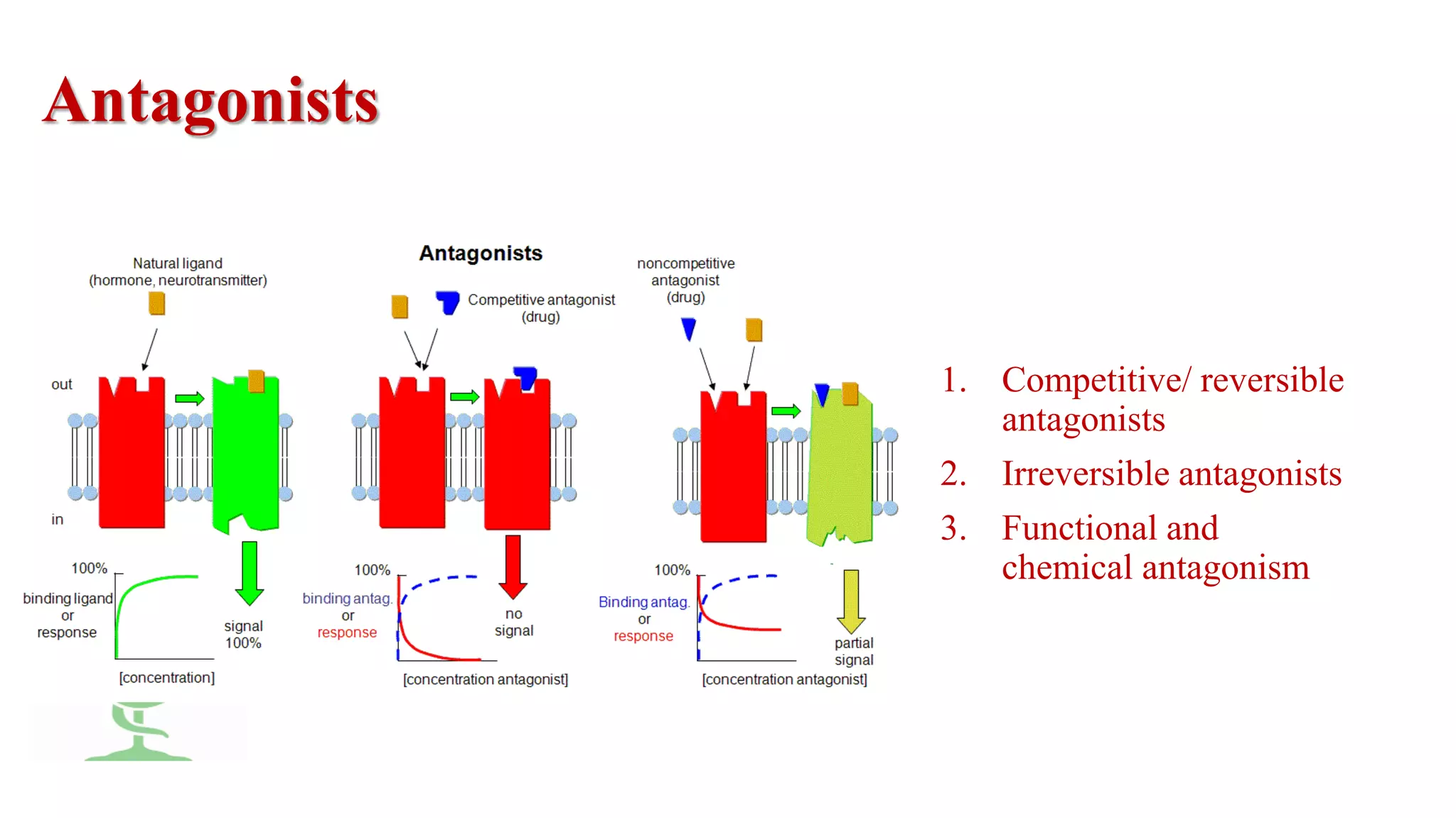 Pharmacodynamics, mechanism of drug action | PPTX
