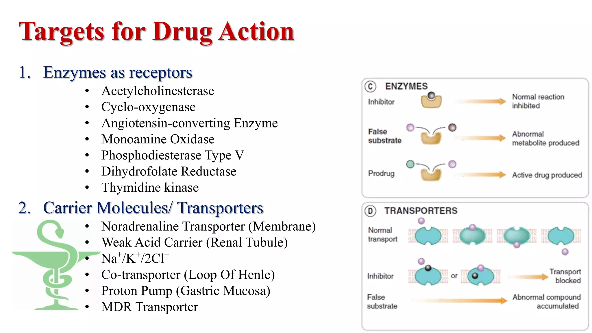 Pharmacodynamics, mechanism of drug action | PPTX