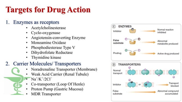 Pharmacodynamics, mechanism of drug action | PPT