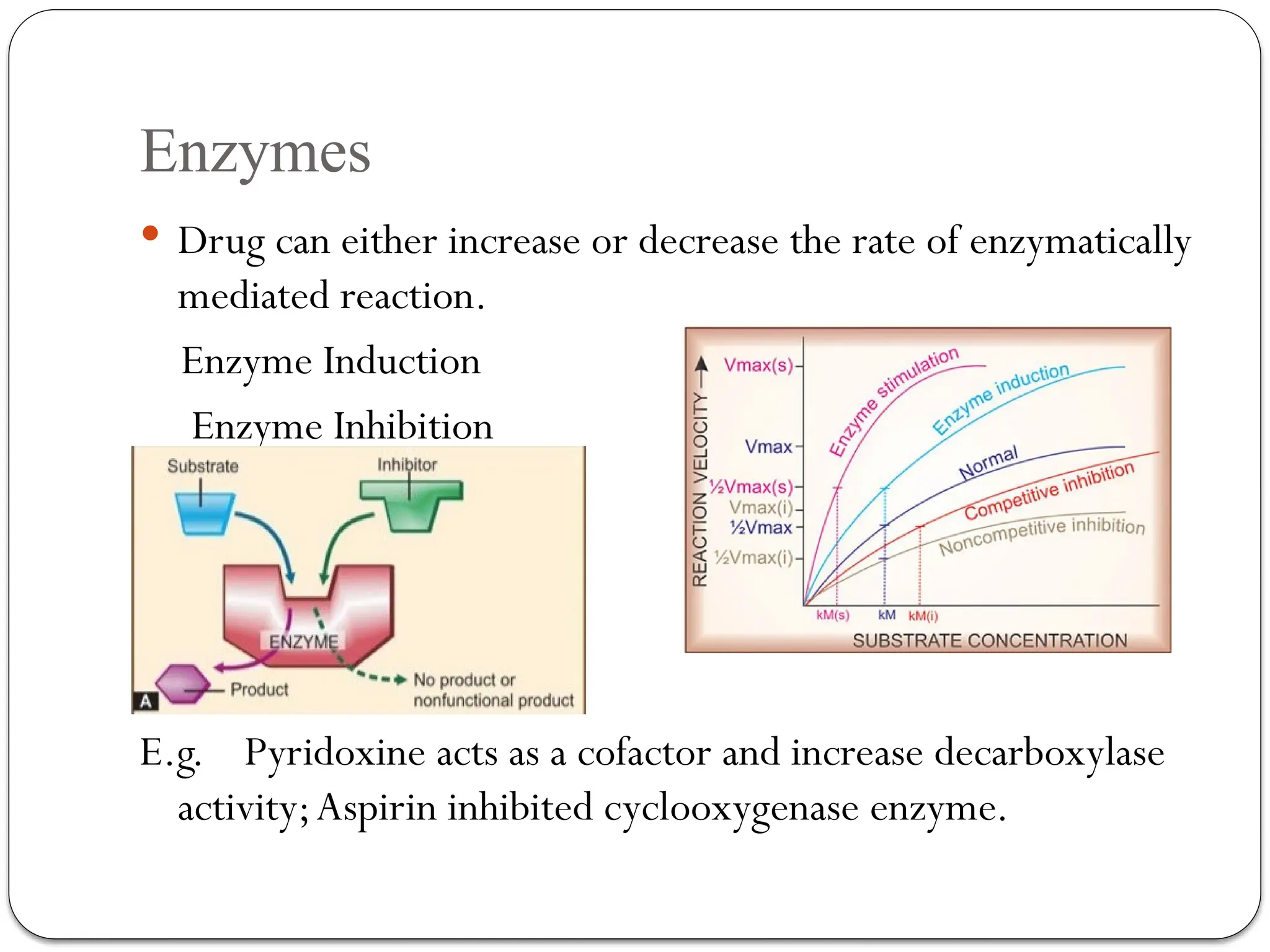 UNDERSTANDING PHARMACODYNAMICS OF DRUGS | PPTX