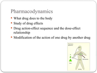 UNDERSTANDING PHARMACODYNAMICS OF DRUGS | PPTX